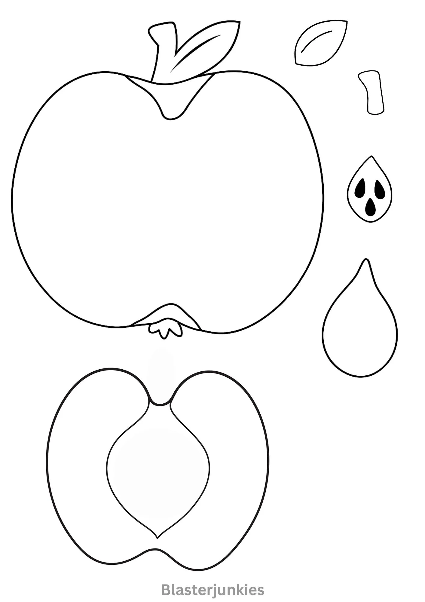 Explore the Parts of an Apple with This Fun Felt Craft (Free Printable!)